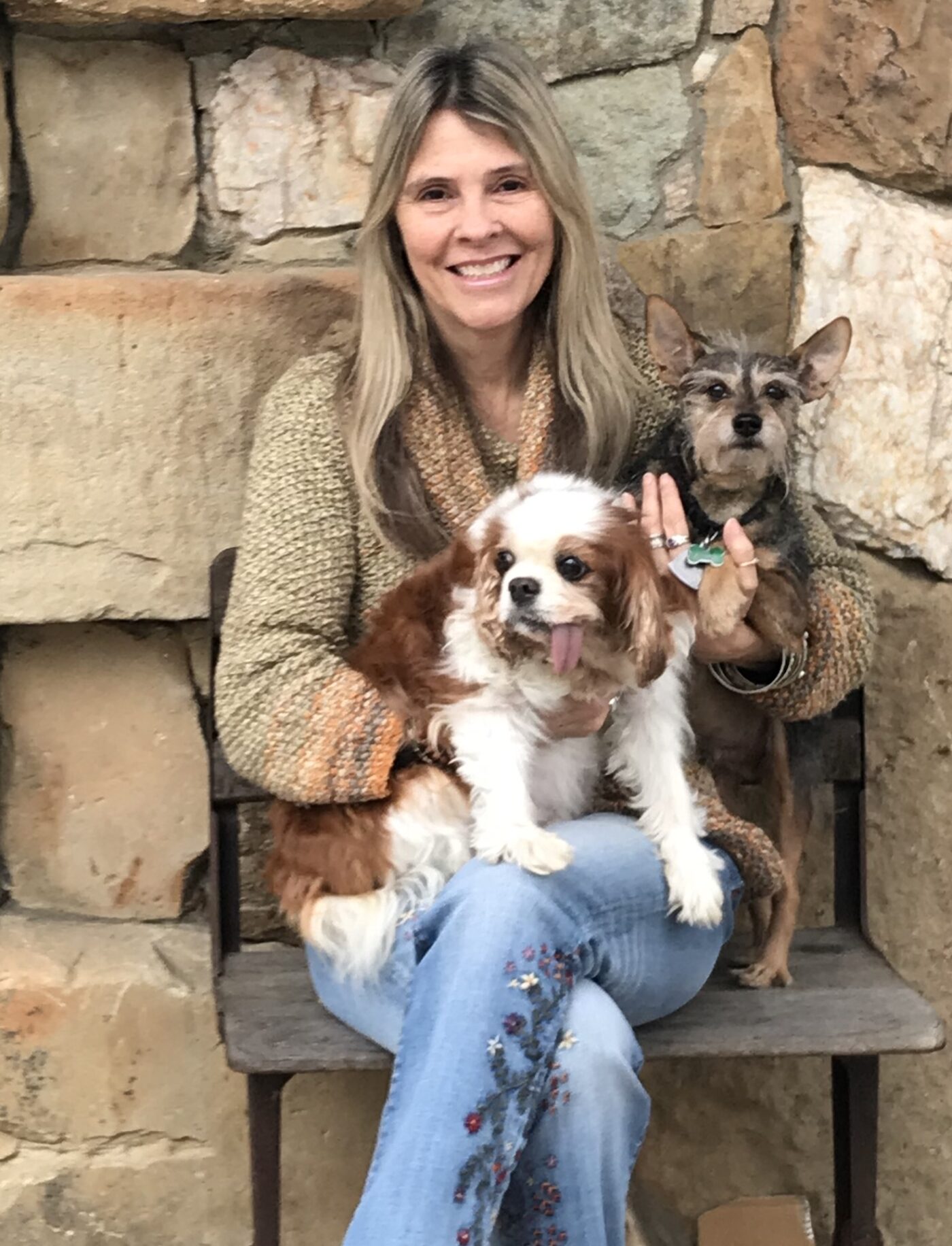 Hilleary Bogley to join Culpeper Humane Society - Culpeper Humane Society